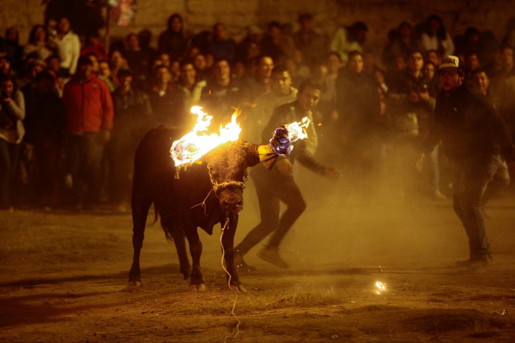 EL NOVILLO DE BOMBAS UNA FESTIVIDAD DE TRES SIGLOS DE ANTIGÜEDAD ...