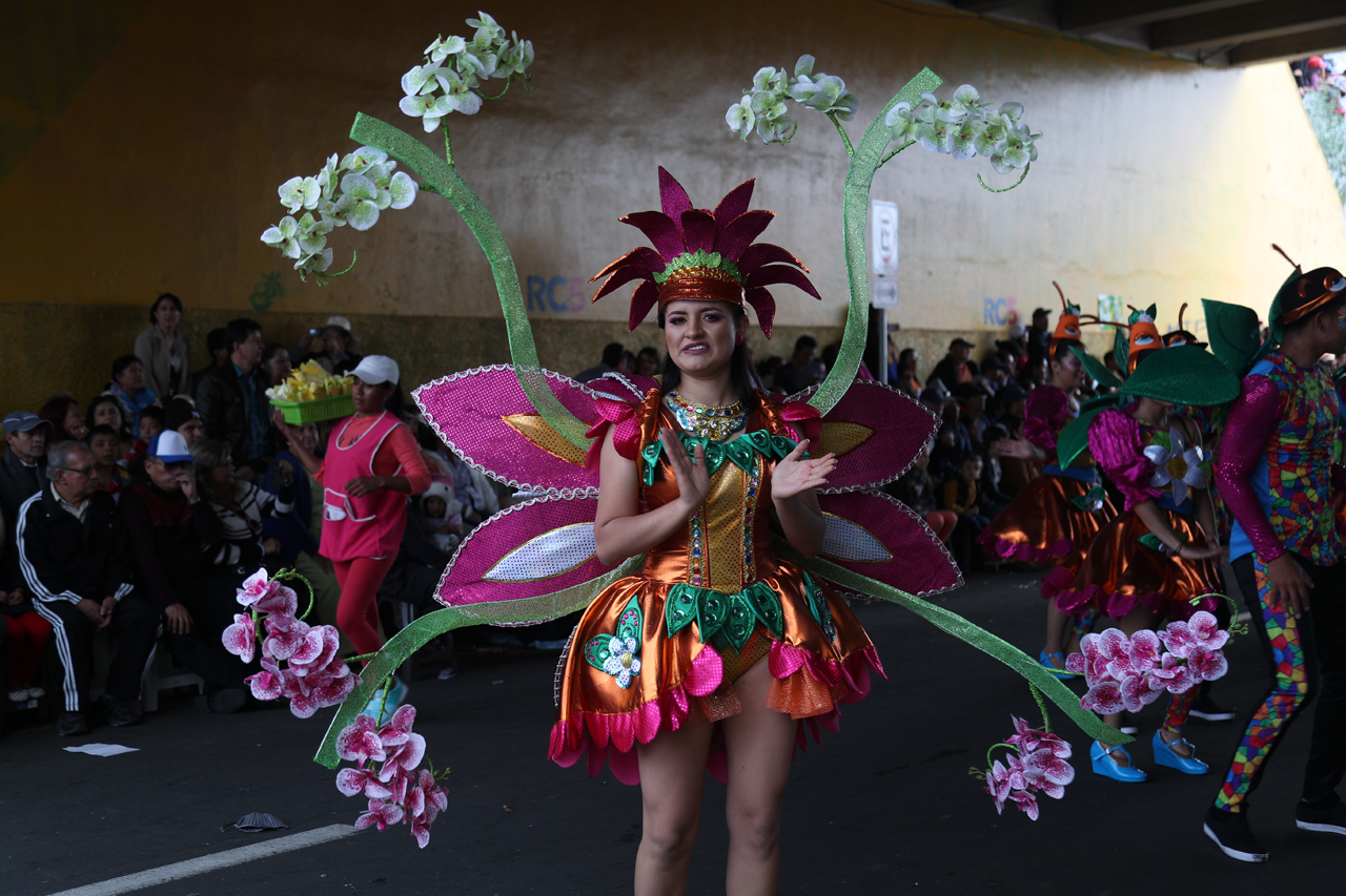 LA FIESTA DE LAS FLORES Y LAS FRUTAS EN EL CARNAVAL DE AMBATO - Chakana ...